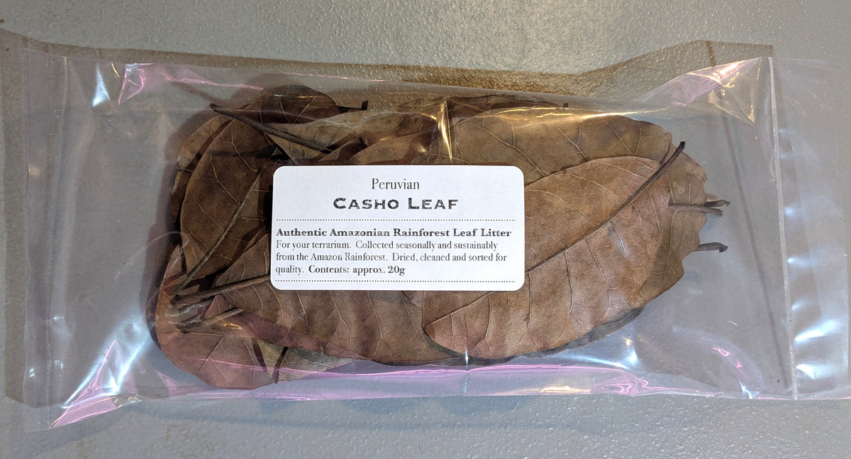 Dried Peruvian Casho leaves – INDOOR ECOSYSTEMS
